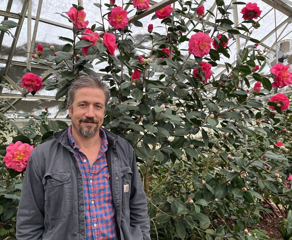 Camellia society has deep roots in Macon – The Macon Melody